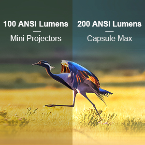 Nebula Capsule Max - Anker Panama